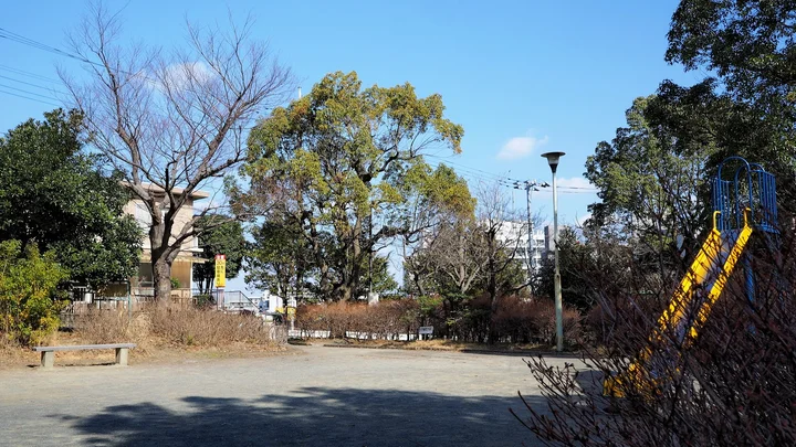 Fuyo Park in Hino | What to Know Before You Go