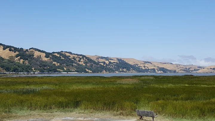 Waterfront Park in Martinez | What to Know Before You Go