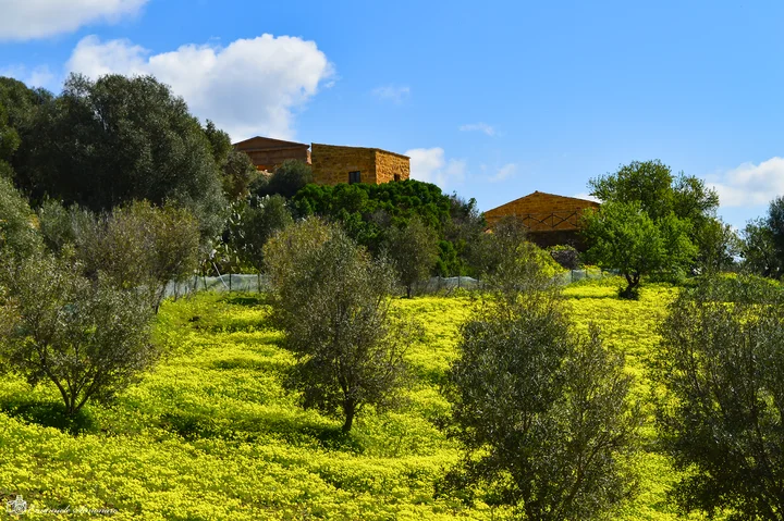 Casa Diodoros in Maddalusa, Sicily | Ask Anything