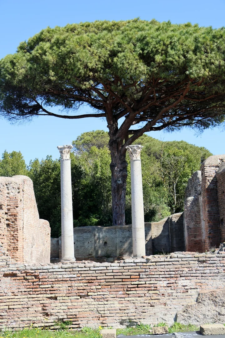 Augusteum in Ostia Antica | What to Know Before You Go