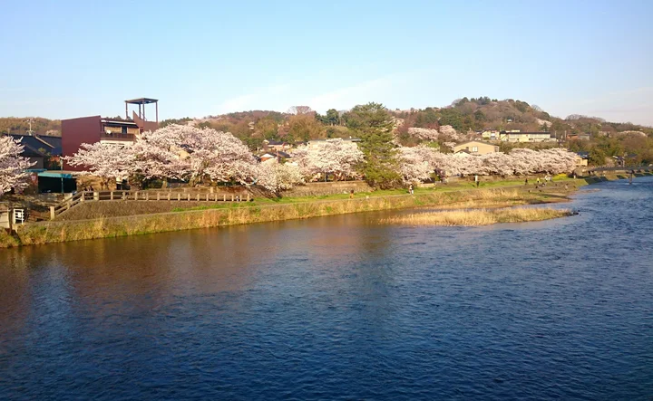 Higashiyamagashi Ryokuchi Park | What to Know Before You Go