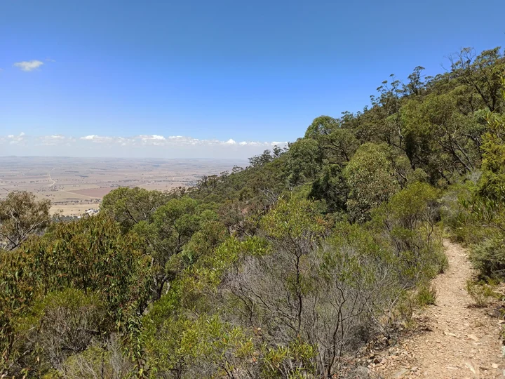 Mt Remarkable Summit Trail in Melrose | Ask Anything