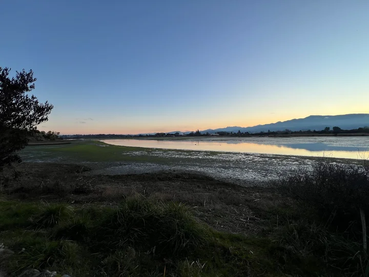 Motueka Inlet Walkway | What to Know Before You Go