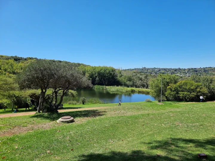 Majik Forest in Cape Town Central - Ask AI | mindtrip