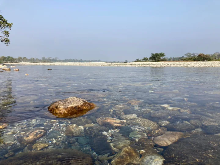 Dooars in Batabari, West Bengal | What to Know Before You Go