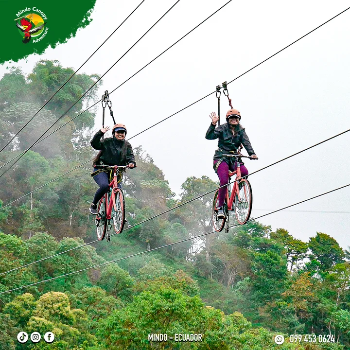 Mindo Canopy Adventures | What to Know Before You Go