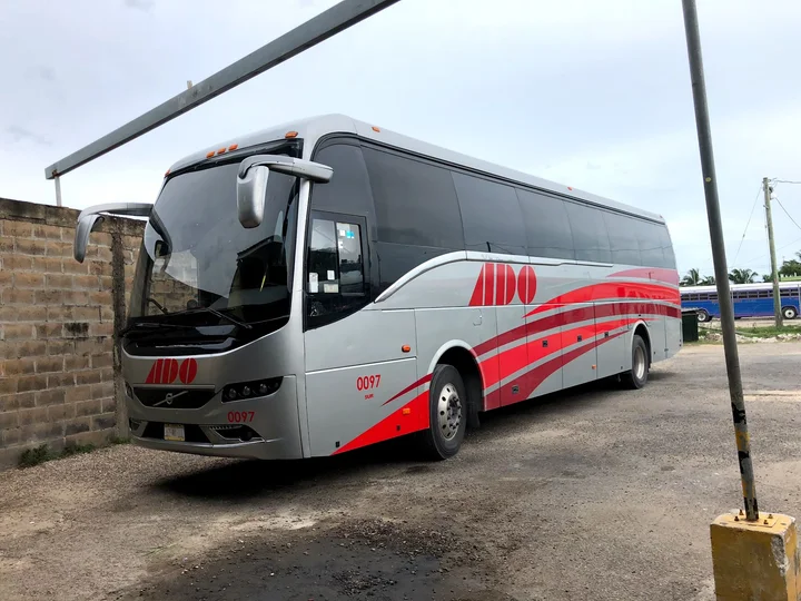 Bus Terminal in Gales Point | What to Know Before You Go