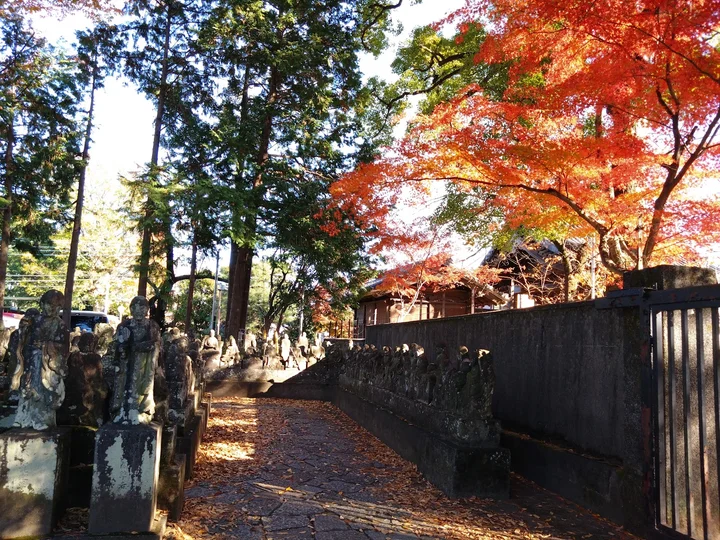 500 Rakan in Kawagoe, Saitama - Ask AI | mindtrip