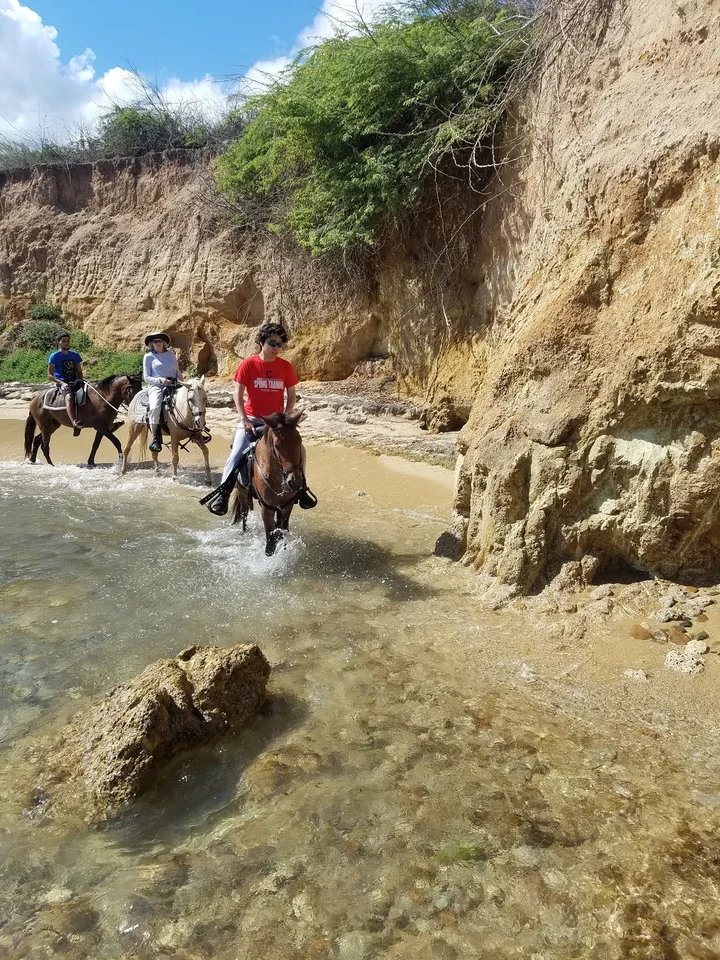 Jurutungo Farm & Sanctuary | What to Know Before You Go