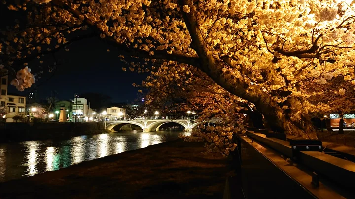 Higashiyamagashi Ryokuchi Park | What to Know Before You Go