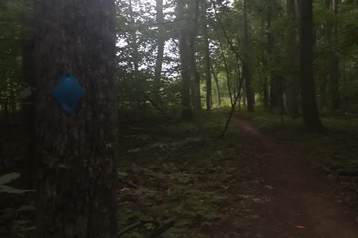 New London Tech Trails in Forest - Ask AI | mindtrip