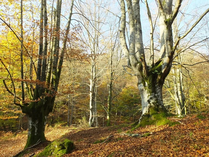 Gorbea in Ipinaburu, Basque Country - Ask AI | mindtrip