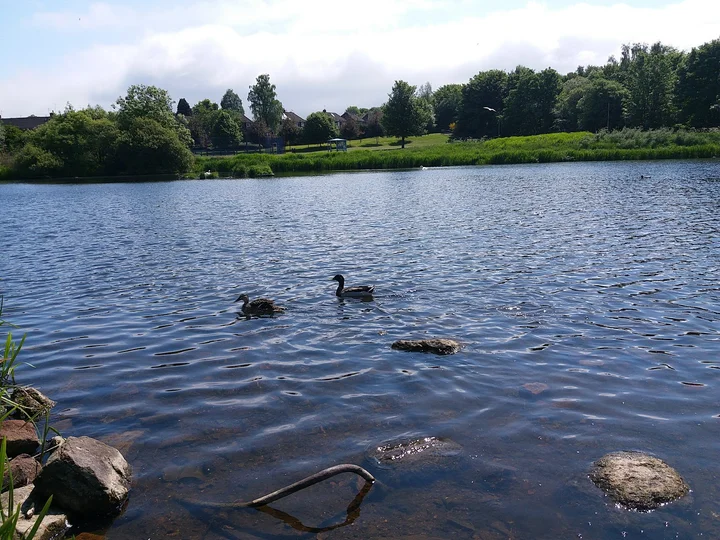 The Delph in Alloa, Scotland - Ask AI | mindtrip