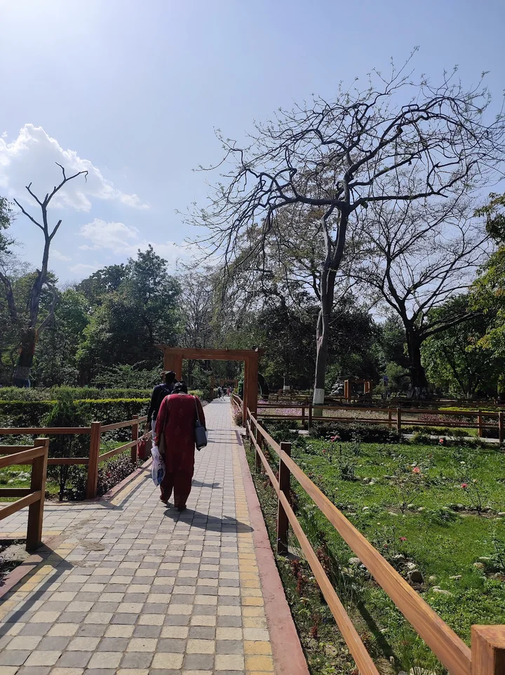 Lachhiwala Range in Balawala | What to Know Before You Go