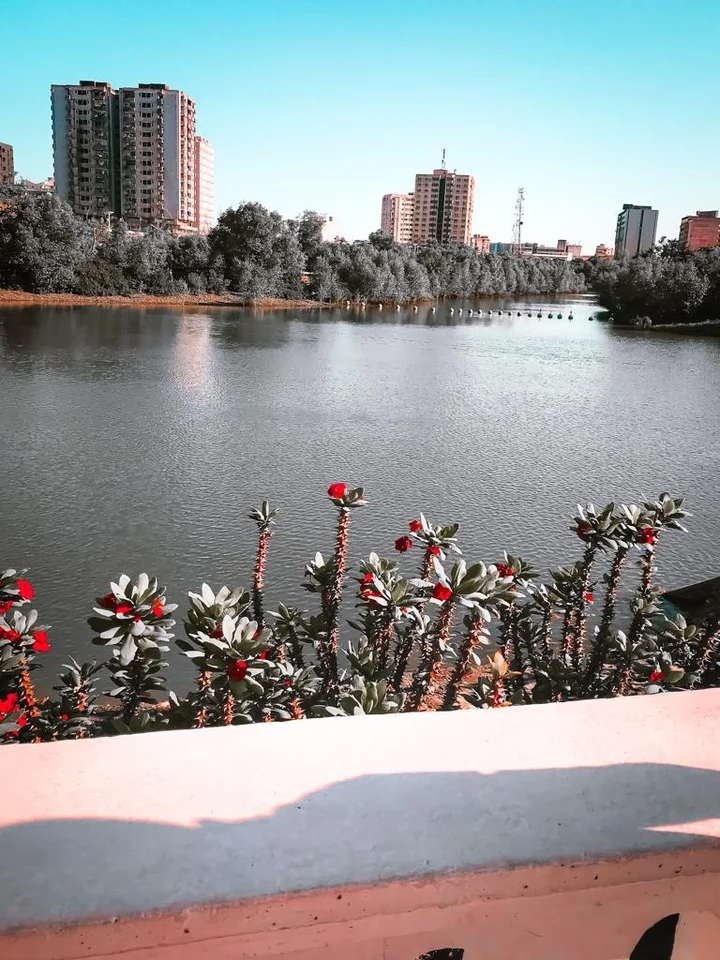 Parque do chiveve in Beira, Sofala | Ask Anything