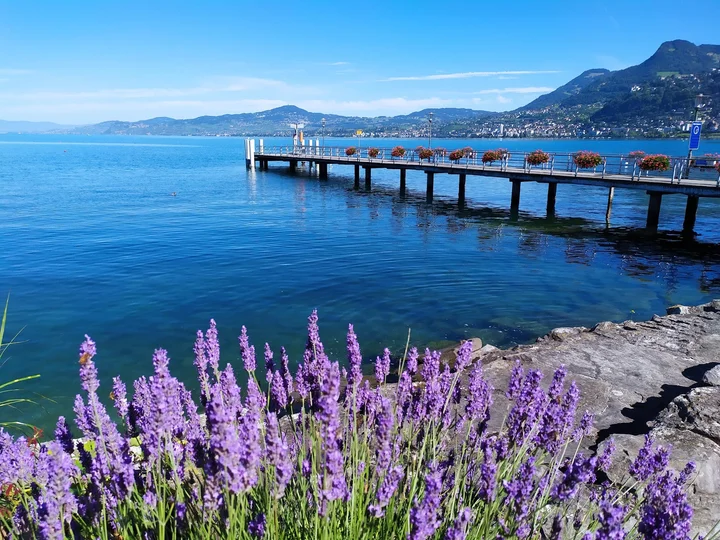 Villeneuve Bahnhof in Villeneuve, Vaud - Ask AI | mindtrip