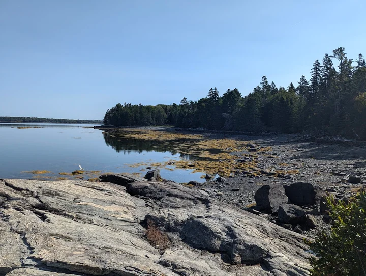 Indian Point Blagden Preserve | What to Know Before You Go