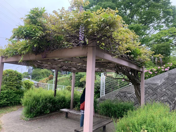 Oyamada Dai 3 Park | What to Know Before You Go