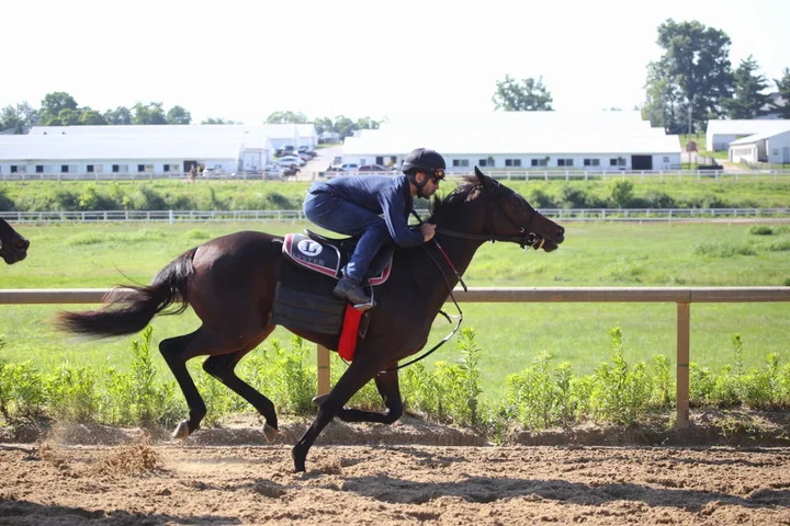 The Thoroughbred Center | What to Know Before You Go
