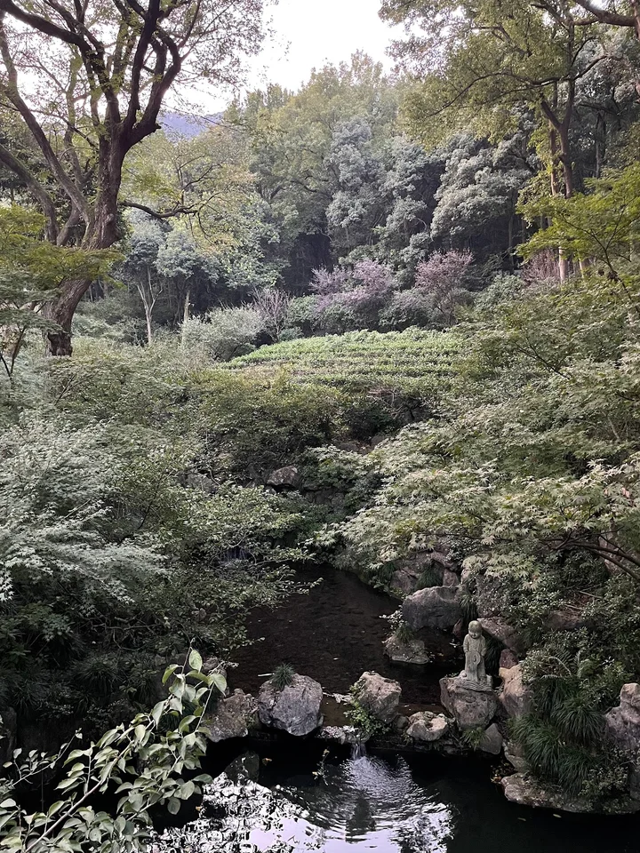 Yongfu Temple in Hangzhou | What to Know Before You Go