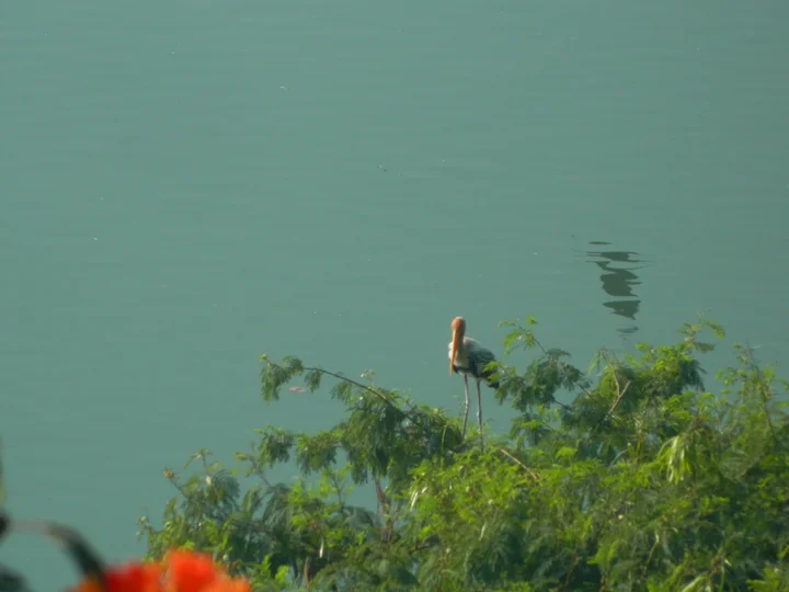 Vishrantwadi Lake in Pune | What to Know Before You Go
