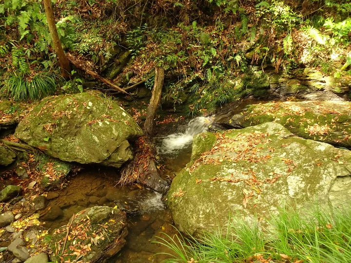 Shinobazu Waterfalls in Shinshiro - Ask AI | mindtrip
