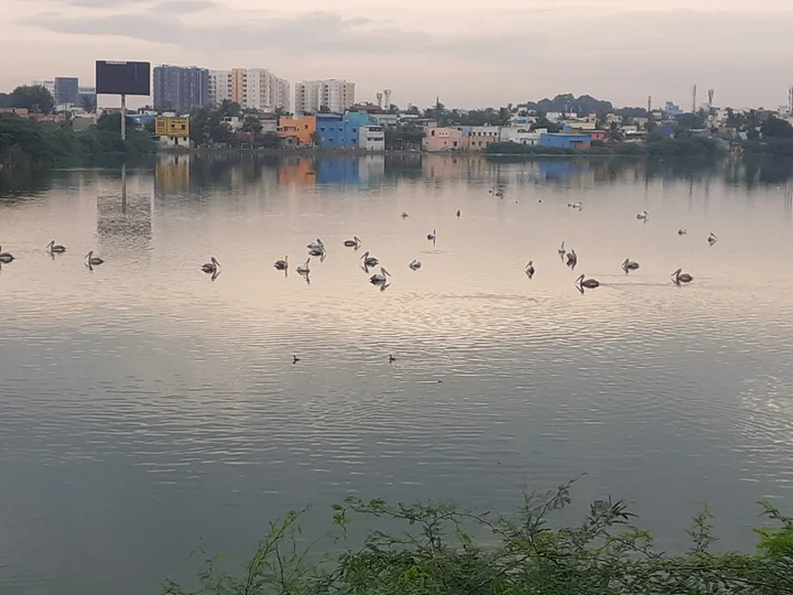 Pallavaram Lake in Chennai (Madras) - Ask AI | mindtrip
