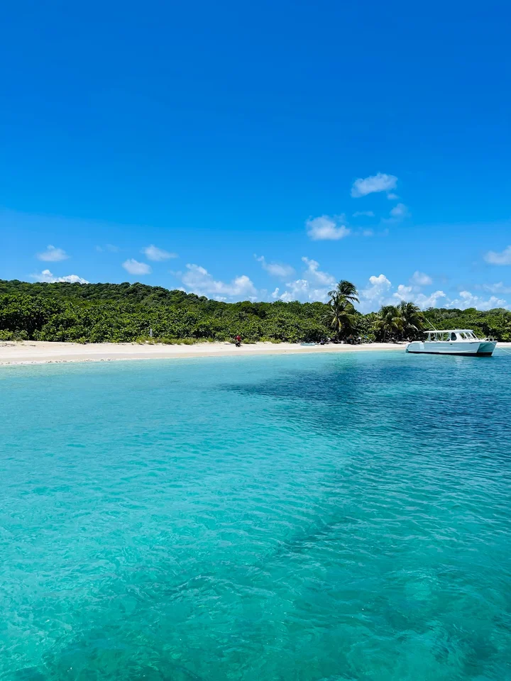 East Island Excursions | What to Know Before You Go