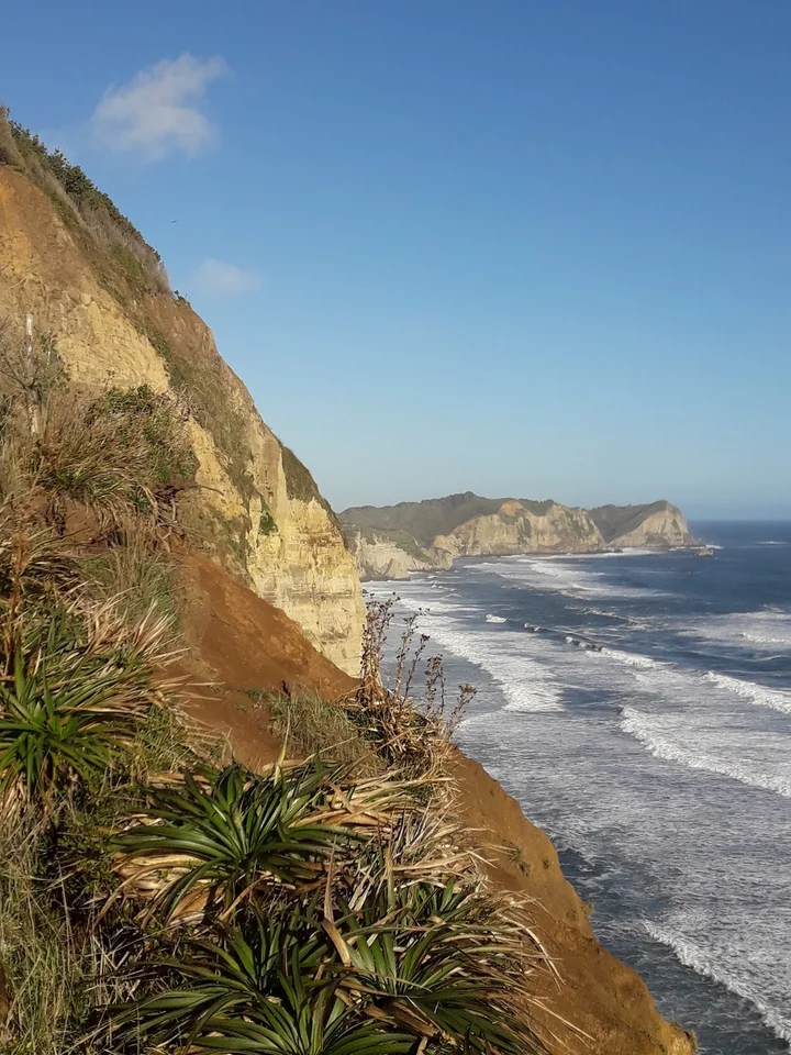 Playa Coi Coi in Carahue | What to Know Before You Go