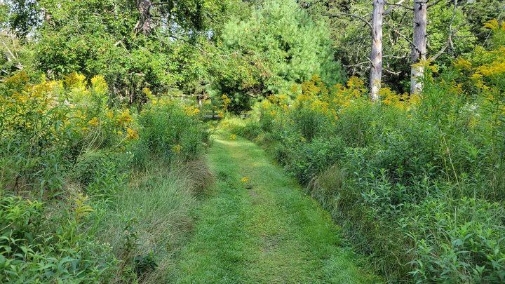Indian Point Blagden Preserve | What to Know Before You Go