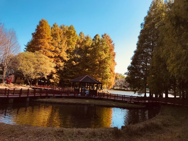 Kitamoto General Park | What to Know Before You Go