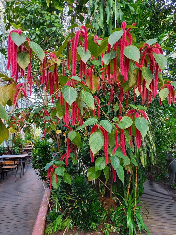 Botania Art Garden in Joensuu - Ask AI | mindtrip