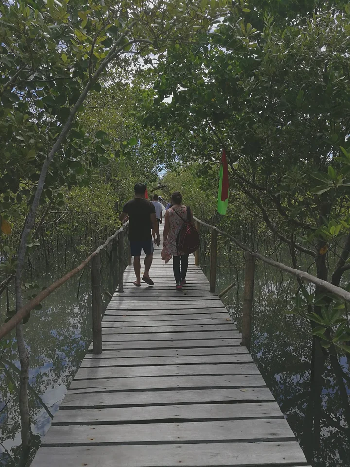 Bakhawan Ecopark in Kalibo, Visayas - Ask AI | mindtrip