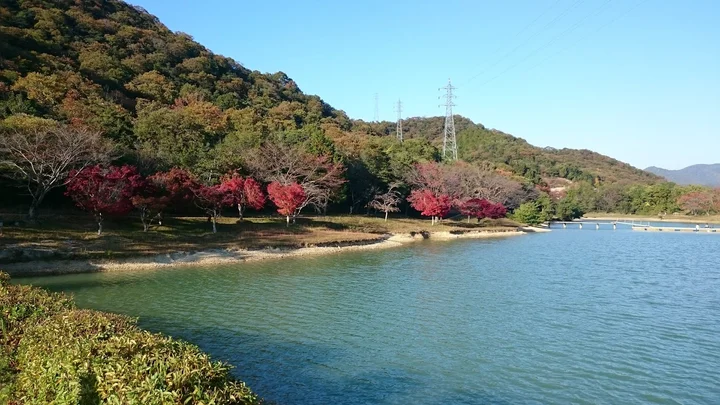 Nishiwaki Park in Nishiwaki - Ask AI | mindtrip