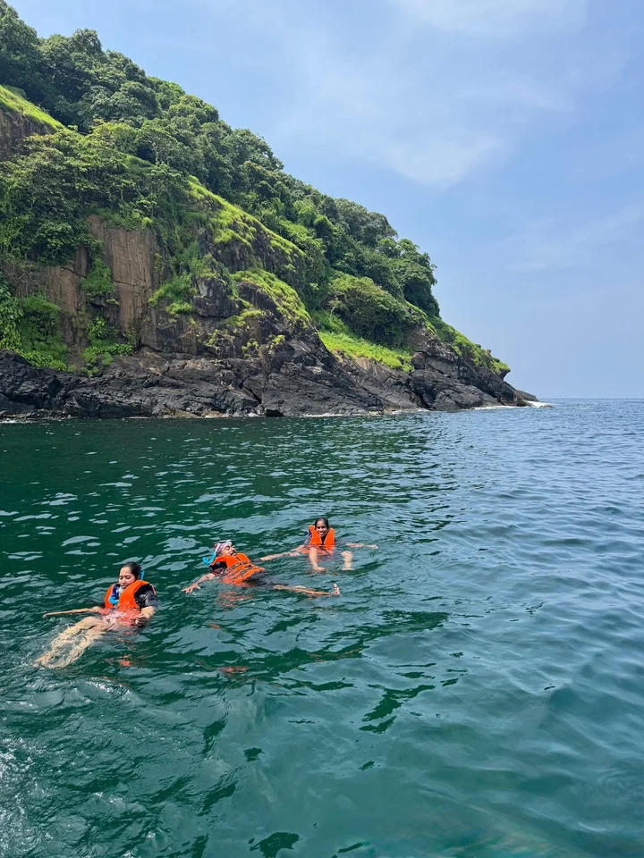 Dolphin Dive Murdeshwar in Murdeshwar - Ask AI | mindtrip