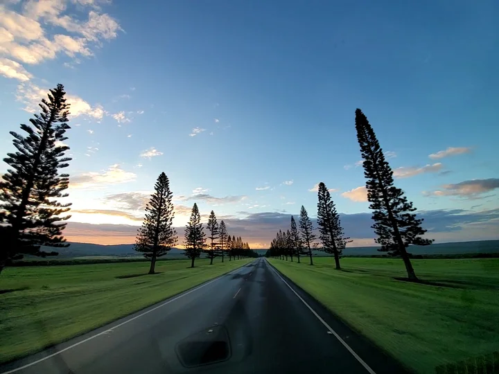 Palawai Basin in Lanai City, Hawaii - Ask AI | mindtrip