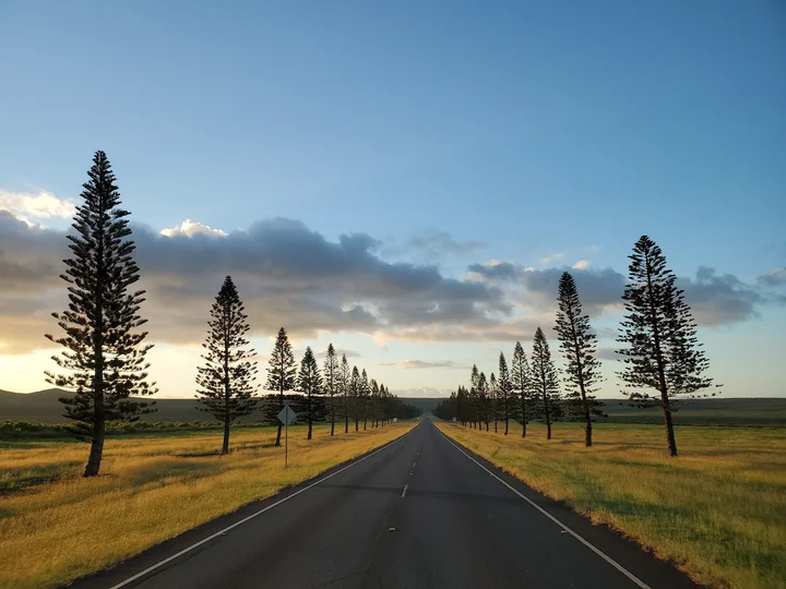 Palawai Basin in Lanai City, Hawaii - Ask AI | mindtrip